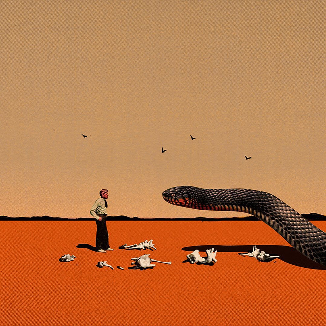 Valentin Pavageau, the Traveler of a Psychedelic Universe – ViralBandit